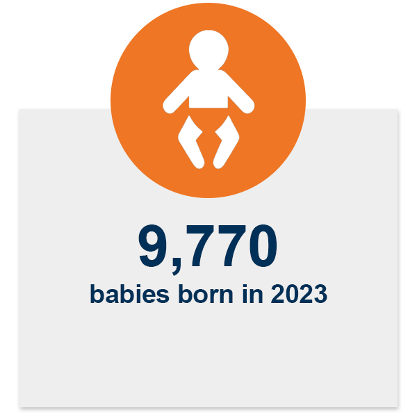 Fast Facts | Swedish Foundation